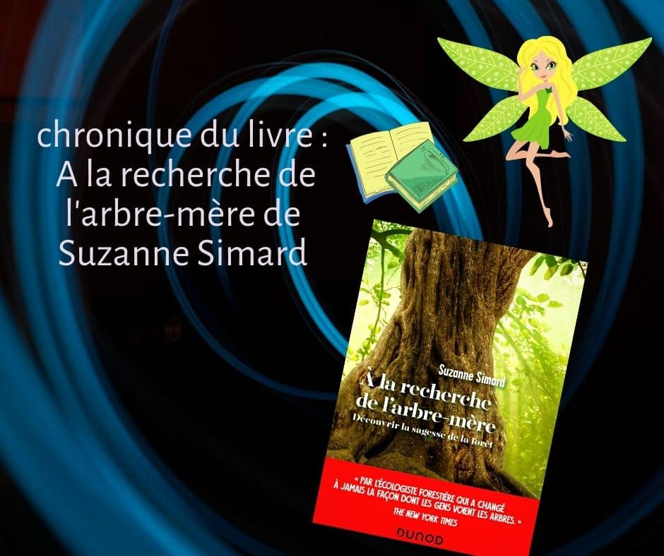 A la recherche de l'arbre-mère de Suzanne Simard - Feerie-Green